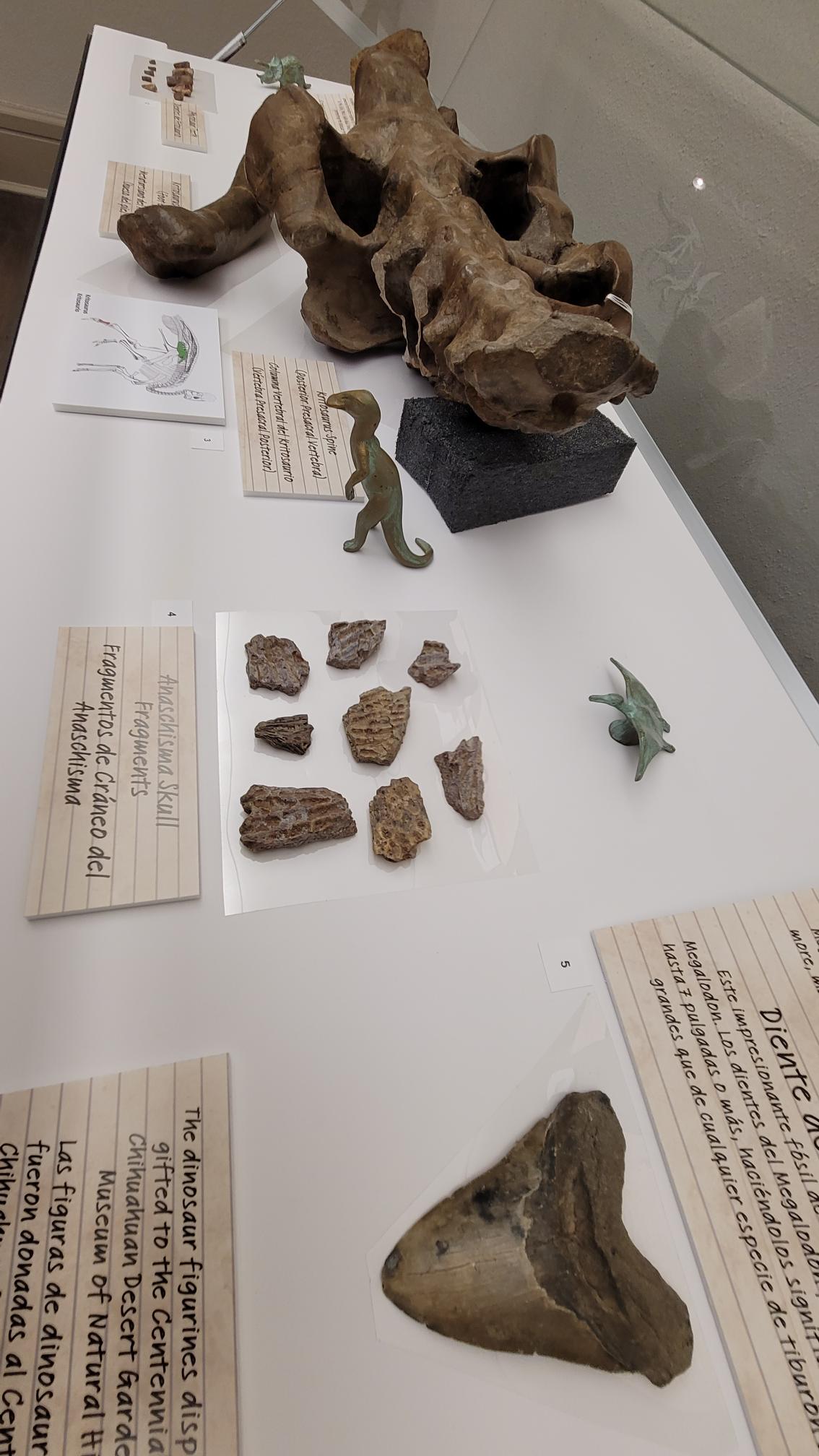 Centennial Dinosaurs